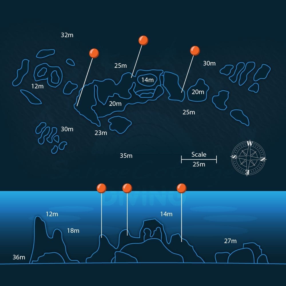 Chumphon Pinnacle Dive Site Diary - One of the best..